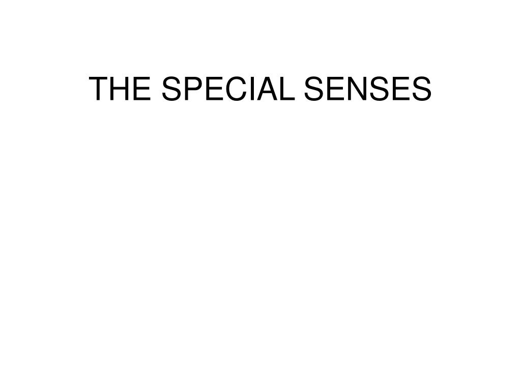 PPT - THE SPECIAL SENSES PowerPoint Presentation, free download - ID:476422