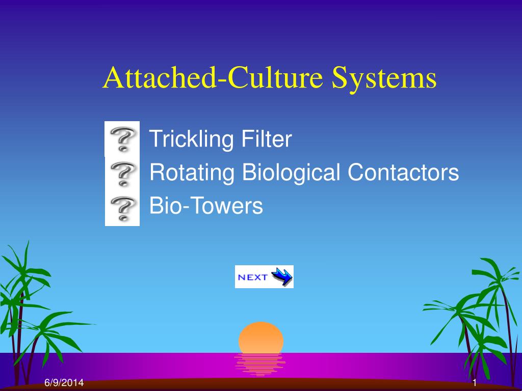 PPT - Attached-Culture Systems PowerPoint Presentation, free download ...