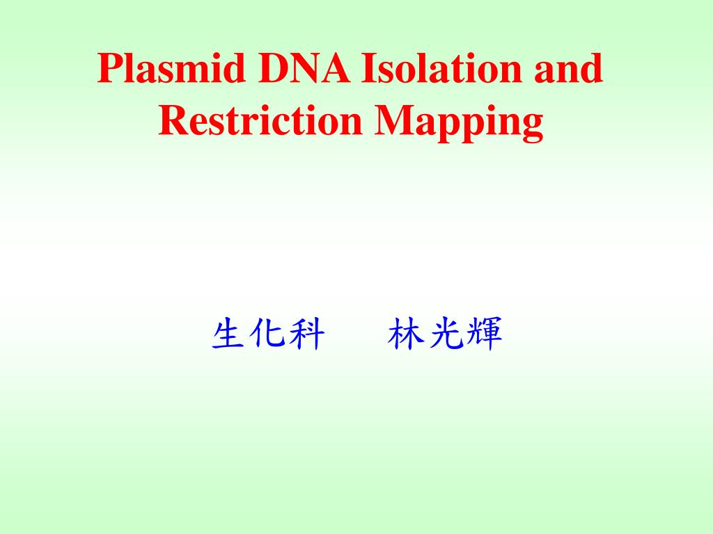 PPT - Plasmid DNA Isolation and Restriction Mapping PowerPoint ...
