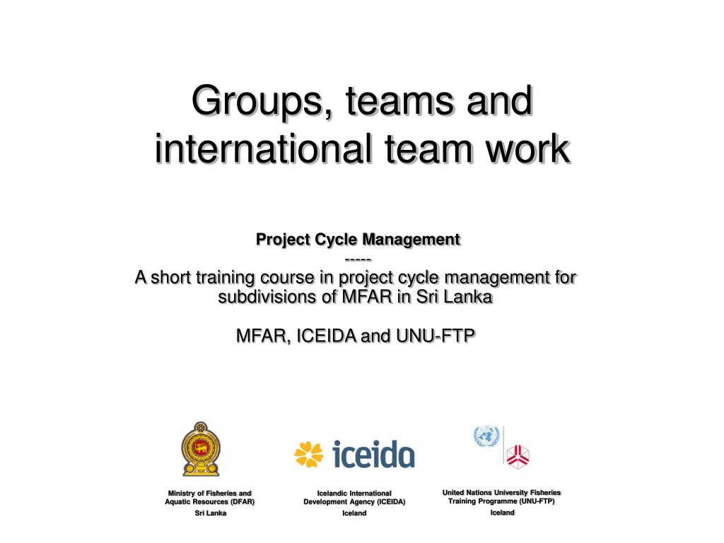 PPT - Groups, teams and international team work PowerPoint Presentation ...