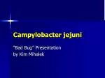 PPT - Campylobacter PowerPoint Presentation, free download - ID:9362972