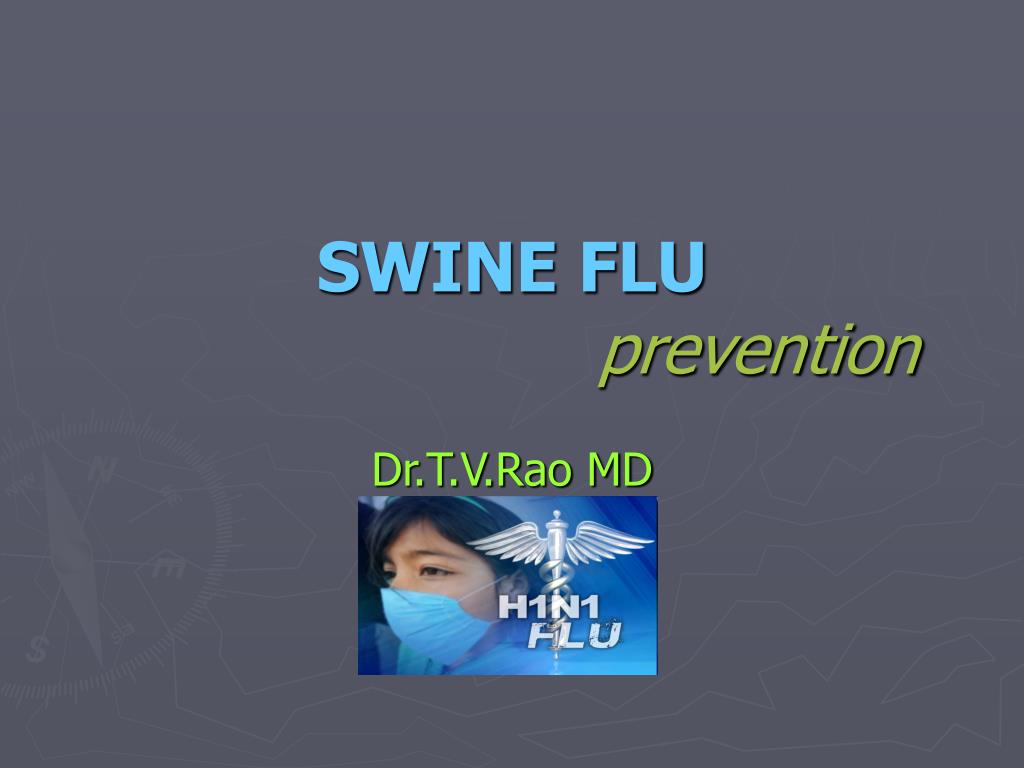 PPT - Swine flu prevention PowerPoint Presentation, free download - ID:4826