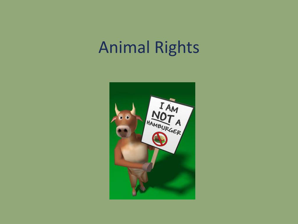 PPT - Animal Rights PowerPoint Presentation, free download - ID:4834