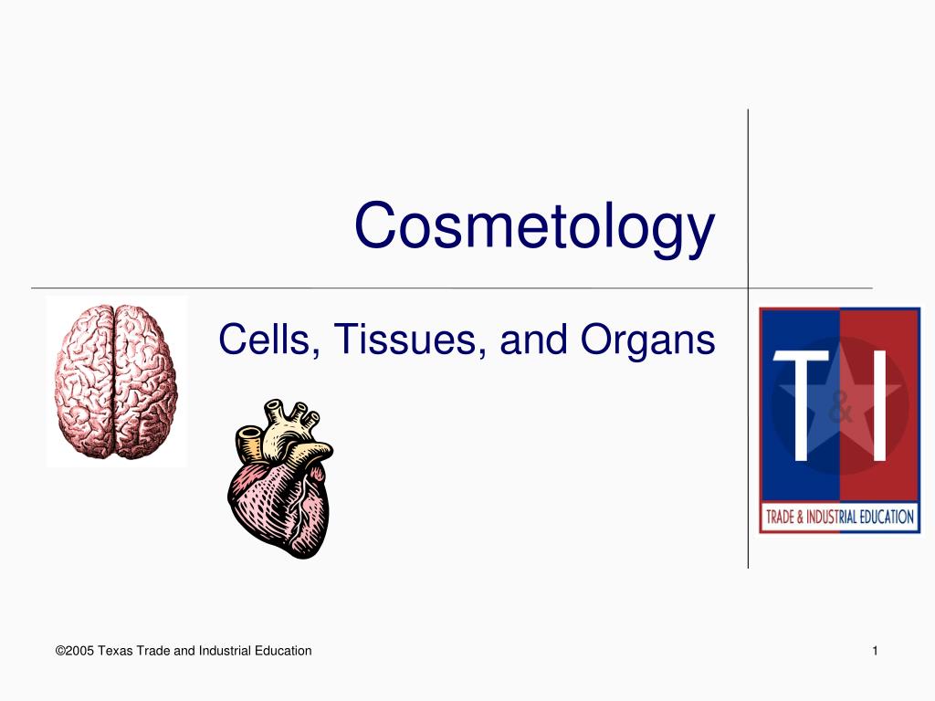 PPT - Cosmetology PowerPoint Presentation, free download - ID:483997