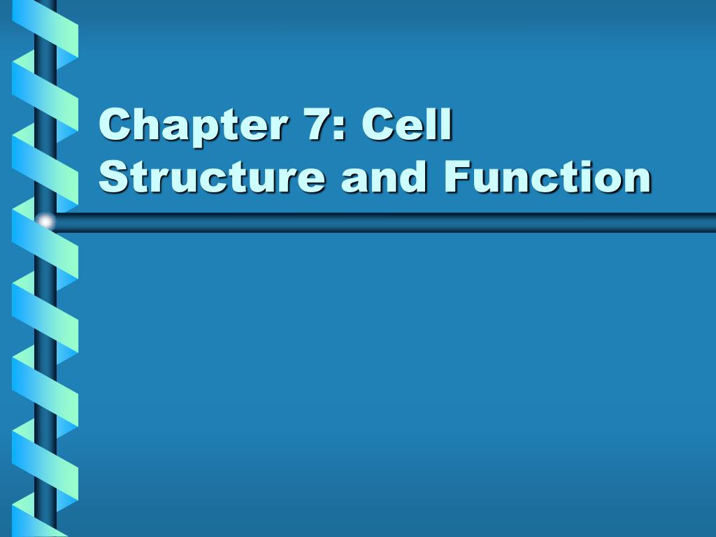 PPT - Chapter 7: Cell Structure and Function PowerPoint Presentation, free download - ID:484006