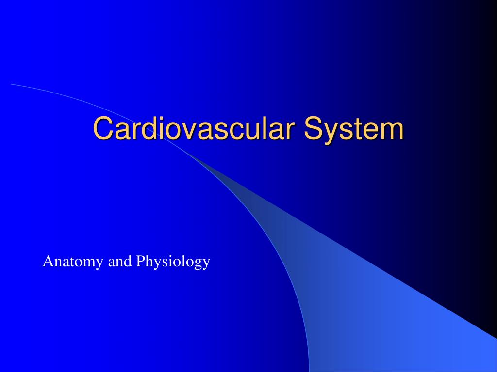 PPT - Cardiovascular System PowerPoint Presentation, free download - ID ...