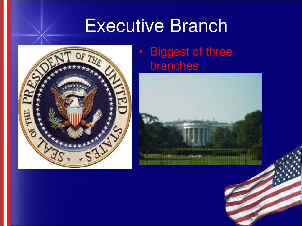 PPT - Executive Branch PowerPoint Presentation, free download - ID:484448