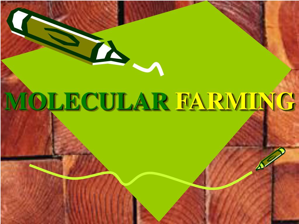PPT - MOLECULAR FARMING PowerPoint Presentation, free download - ID:489501