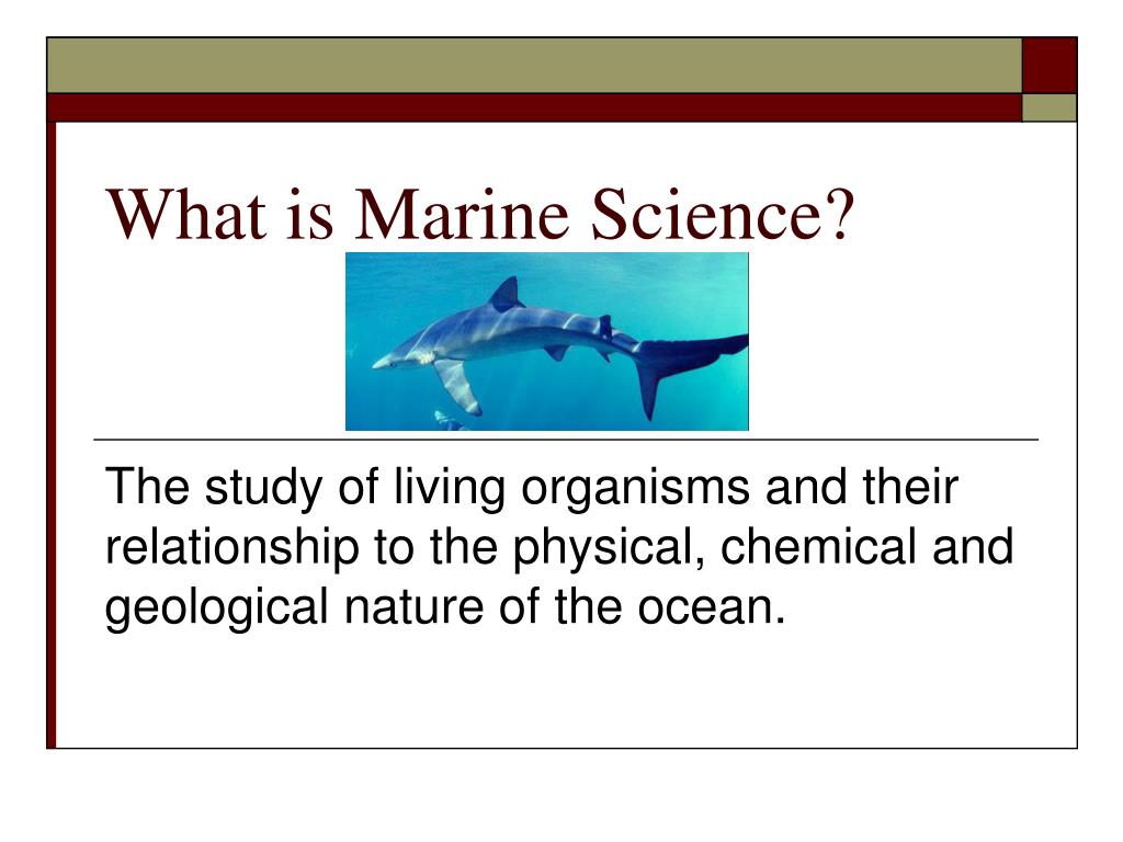 PPT - What is Marine Science? PowerPoint Presentation, free download ...