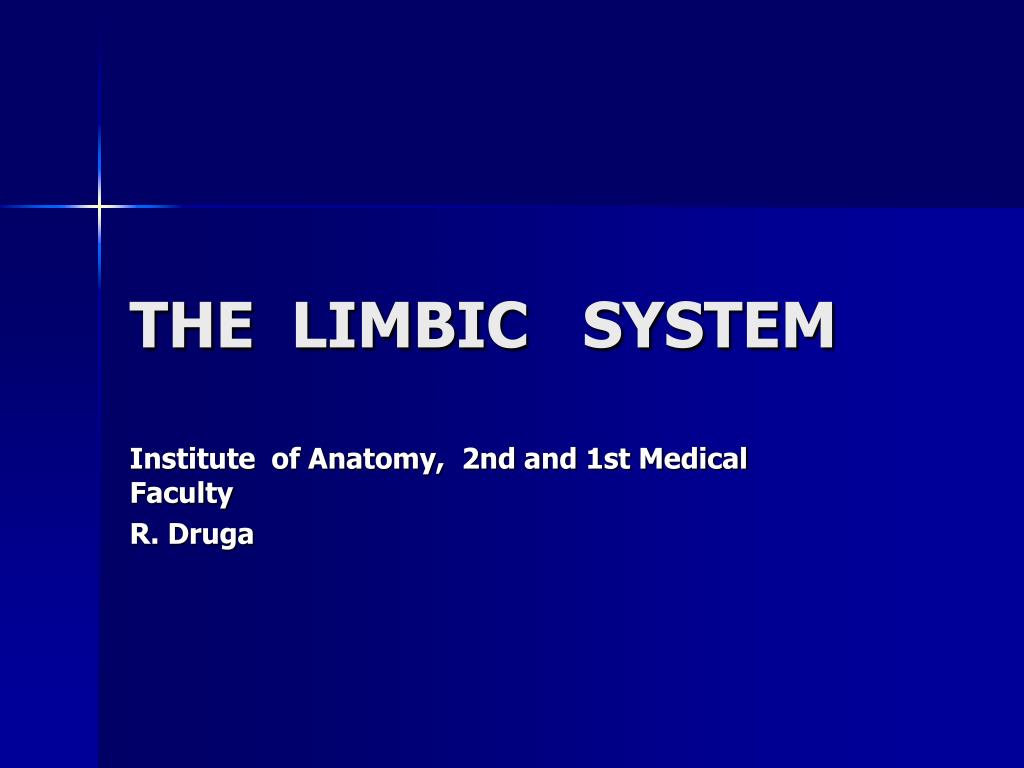 PPT - THE LIMBIC SYSTEM PowerPoint Presentation, free download - ID:491441