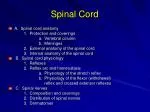 PPT - Spinal Function Sort PowerPoint Presentation, free download - ID ...