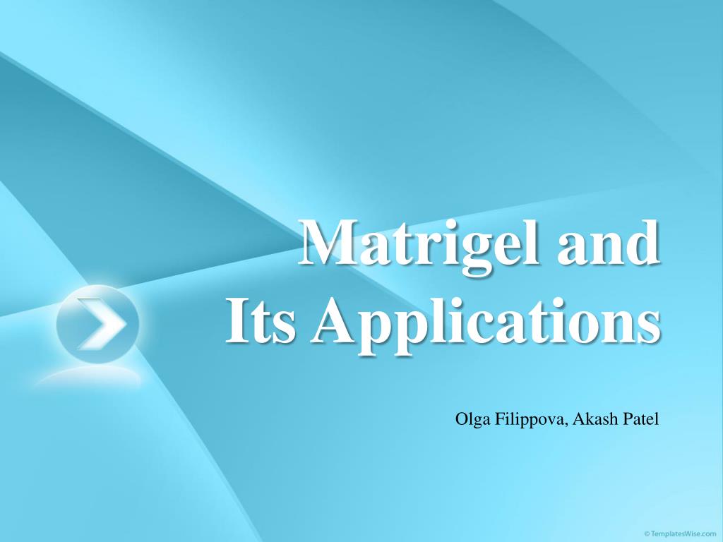 PPT - Matrigel and Its Applications PowerPoint Presentation, free ...