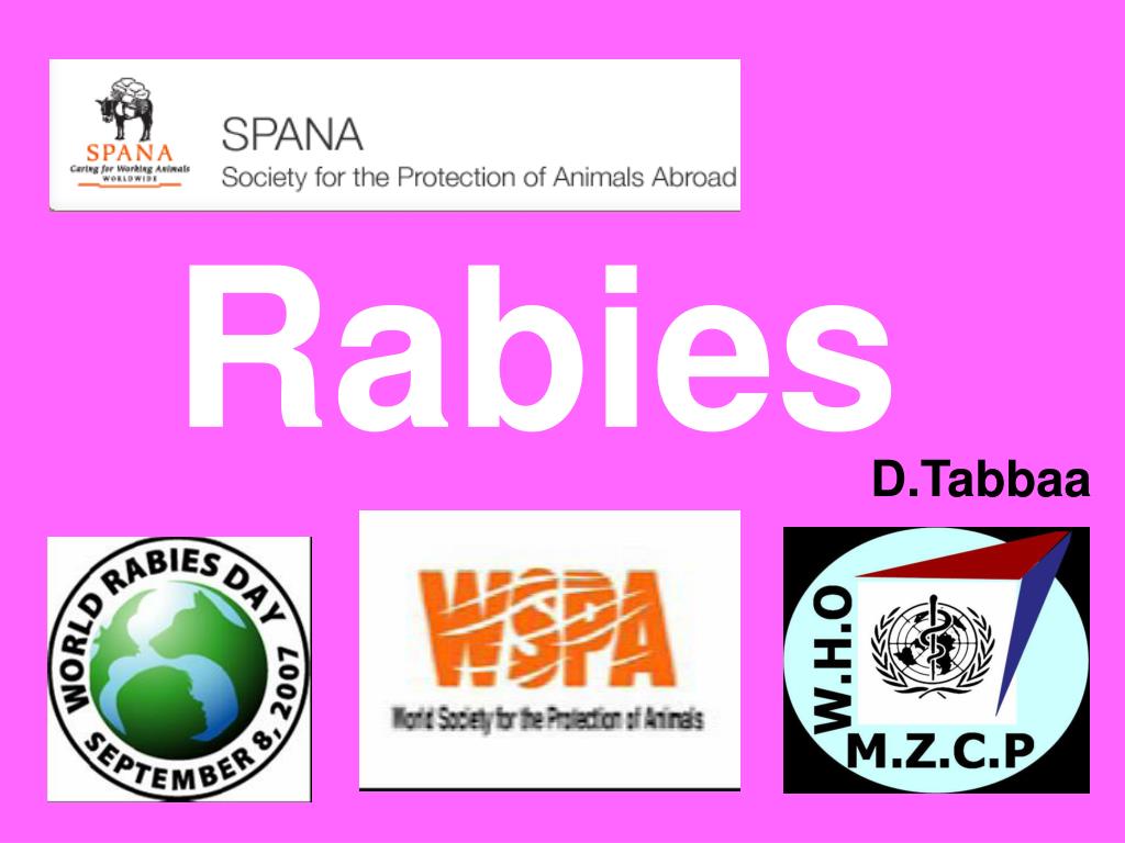 PPT - Rabies PowerPoint Presentation, free download - ID:495214