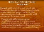 PPT - DASAR-2 ILMU PENYAKIT TUMBUHAN PowerPoint Presentation, free download - ID:1062807
