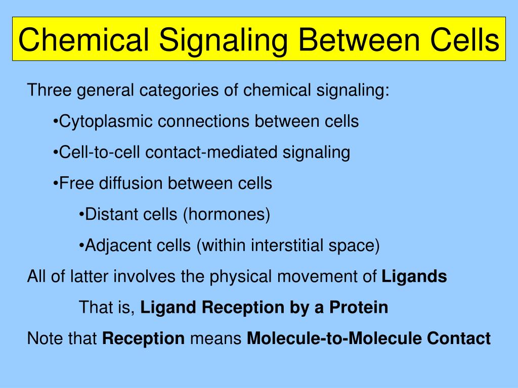 PPT - Chemical Signaling Between Cells PowerPoint Presentation, free ...