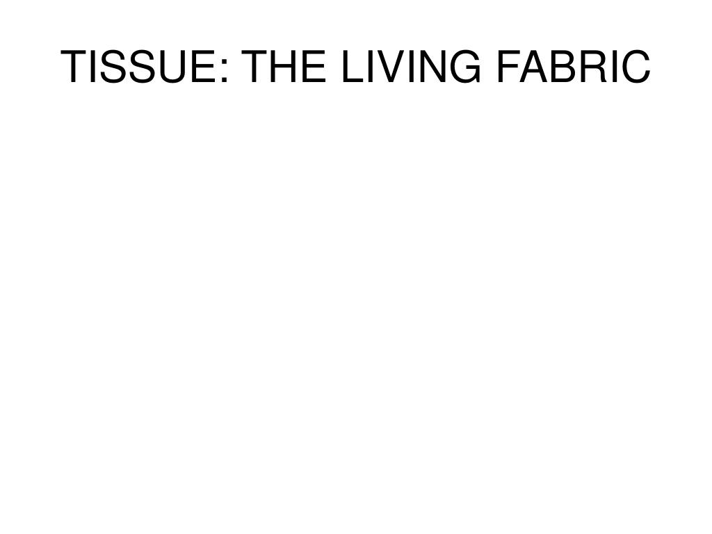 PPT - TISSUE: THE LIVING FABRIC PowerPoint Presentation, free download ...