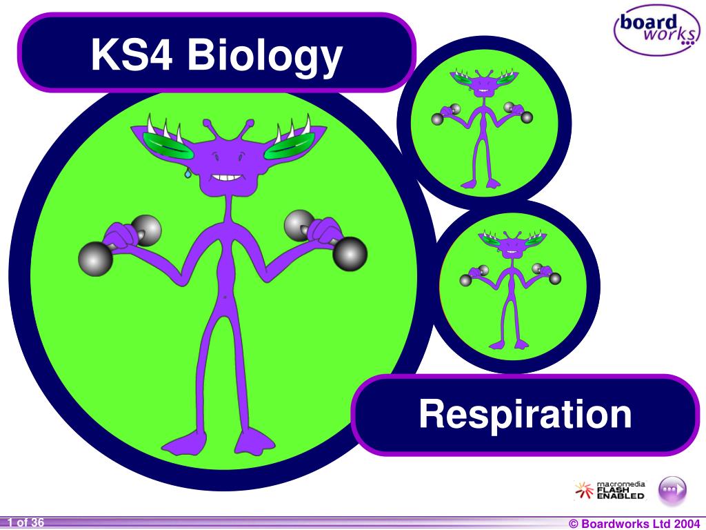 PPT - KS4 Biology PowerPoint Presentation, free download - ID:502951
