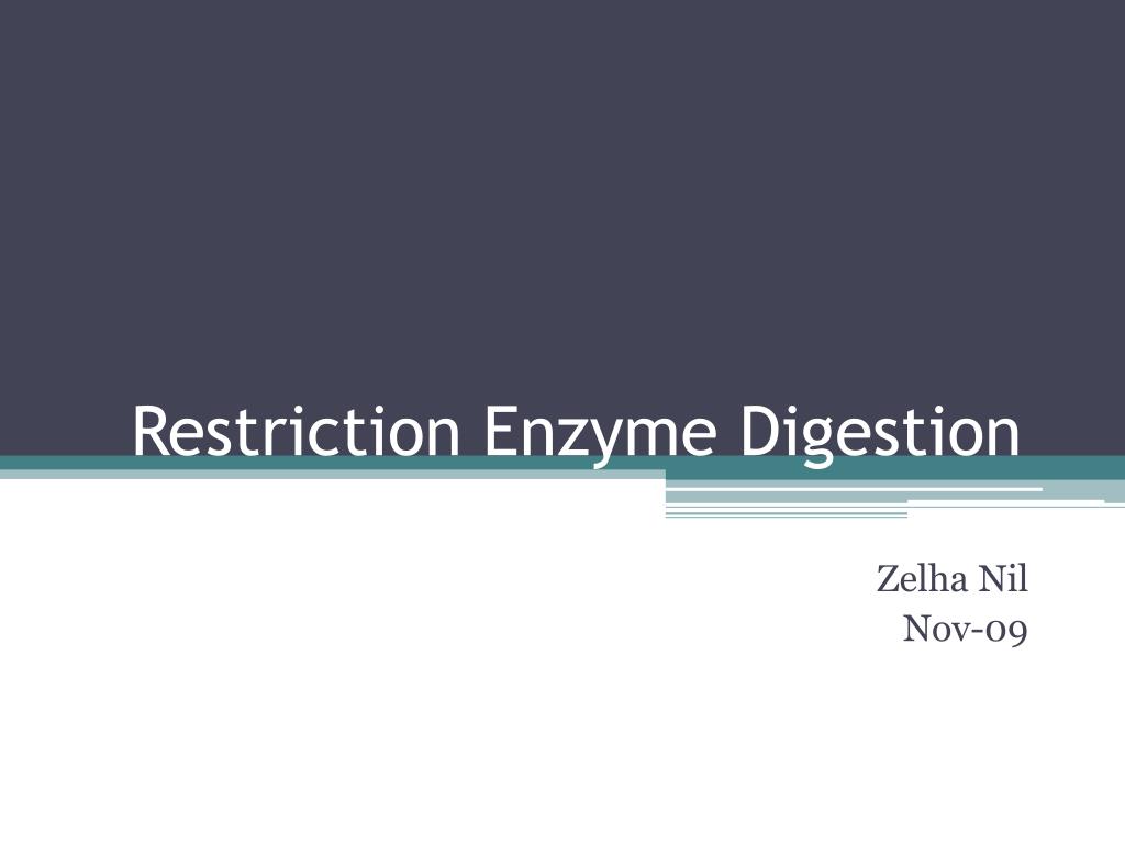 PPT - Restriction Enzyme Digestion PowerPoint Presentation, free ...