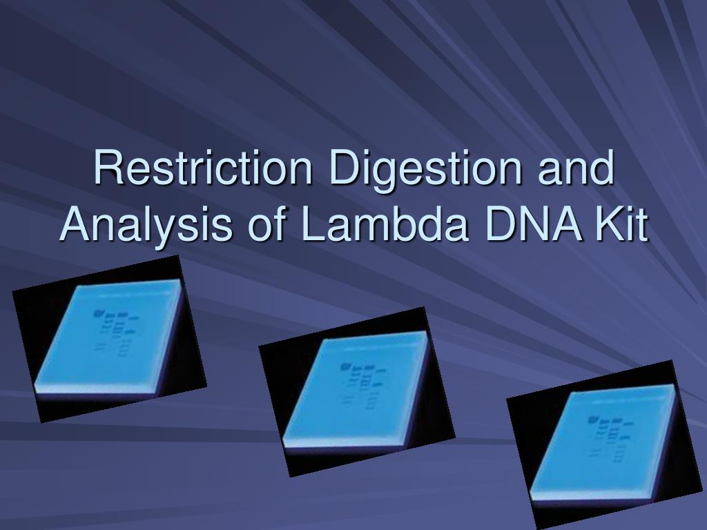 PPT - Restriction Digestion and Analysis of Lambda DNA Kit PowerPoint Presentation - ID:503292