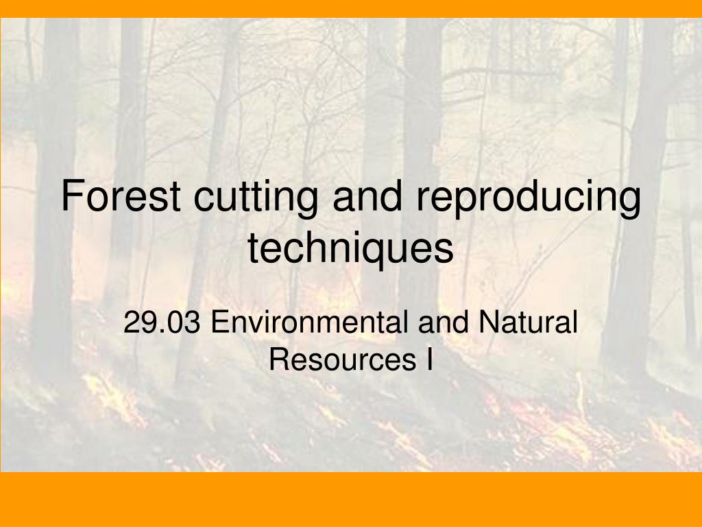 PPT - Forest cutting and reproducing techniques PowerPoint Presentation ...
