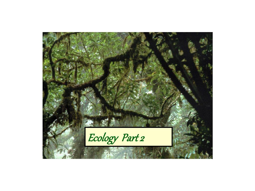 PPT - Ecology Part 2 PowerPoint Presentation, free download - ID:504675