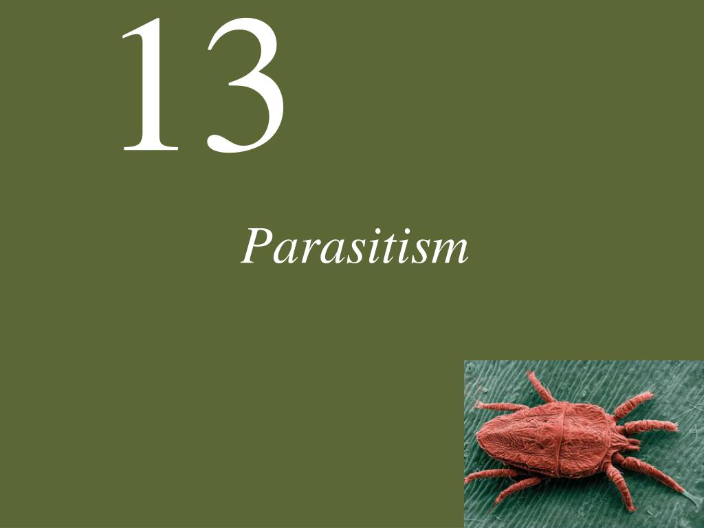 PPT - Parasitism PowerPoint Presentation, free download - ID:50603