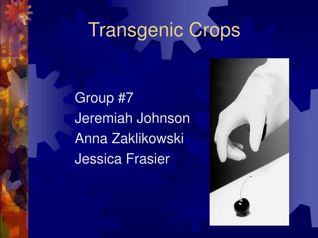 PPT - Transgenic Crops PowerPoint Presentation, free download - ID:506546