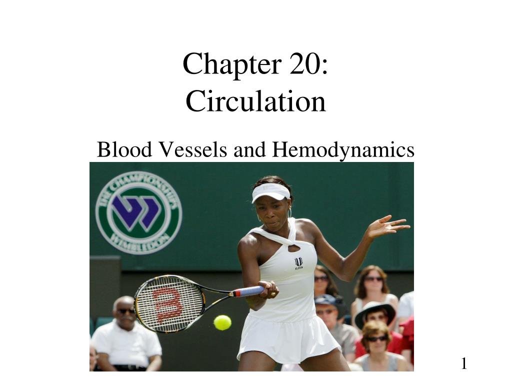PPT - Chapter 20: Circulation PowerPoint Presentation, free download - ID:507303
