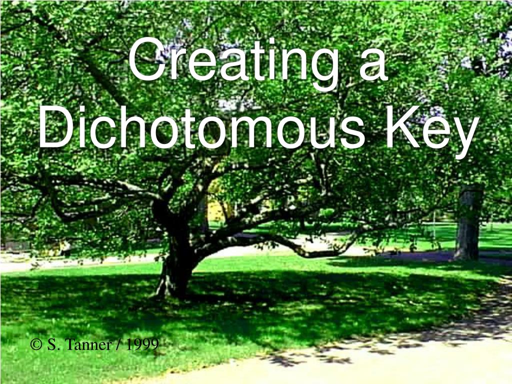 PPT - Creating a Dichotomous Key PowerPoint Presentation, free download ...