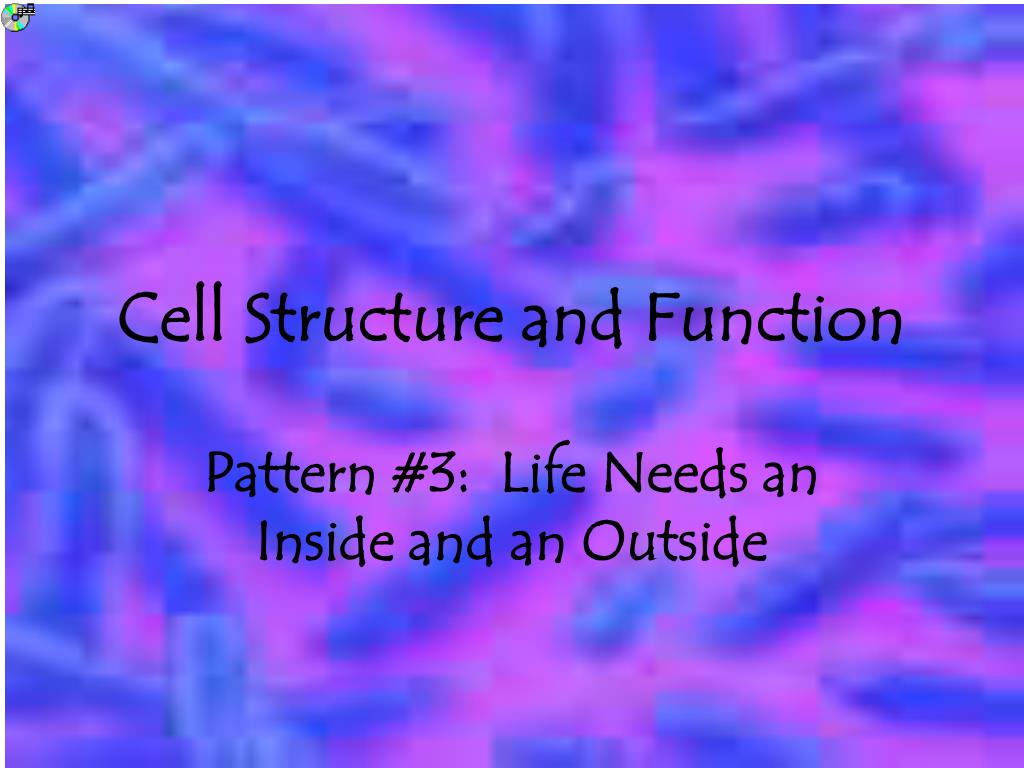 PPT - Cell Structure and Function PowerPoint Presentation, free ...