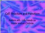 PPT - Cell Structure & Function PowerPoint Presentation, free download - ID:5128250