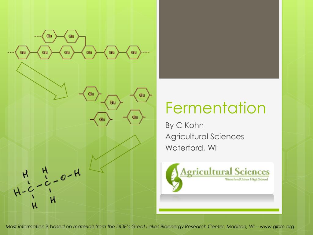 PPT - Fermentation PowerPoint Presentation, free download - ID:513060