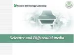 PPT - Selective and Differential media PowerPoint Presentation, free ...