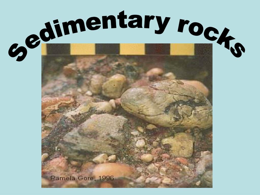 PPT - Sedimentary rocks PowerPoint Presentation, free download - ID:514860