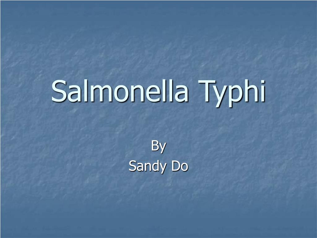 PPT - Salmonella Typhi PowerPoint Presentation, free download - ID:515108