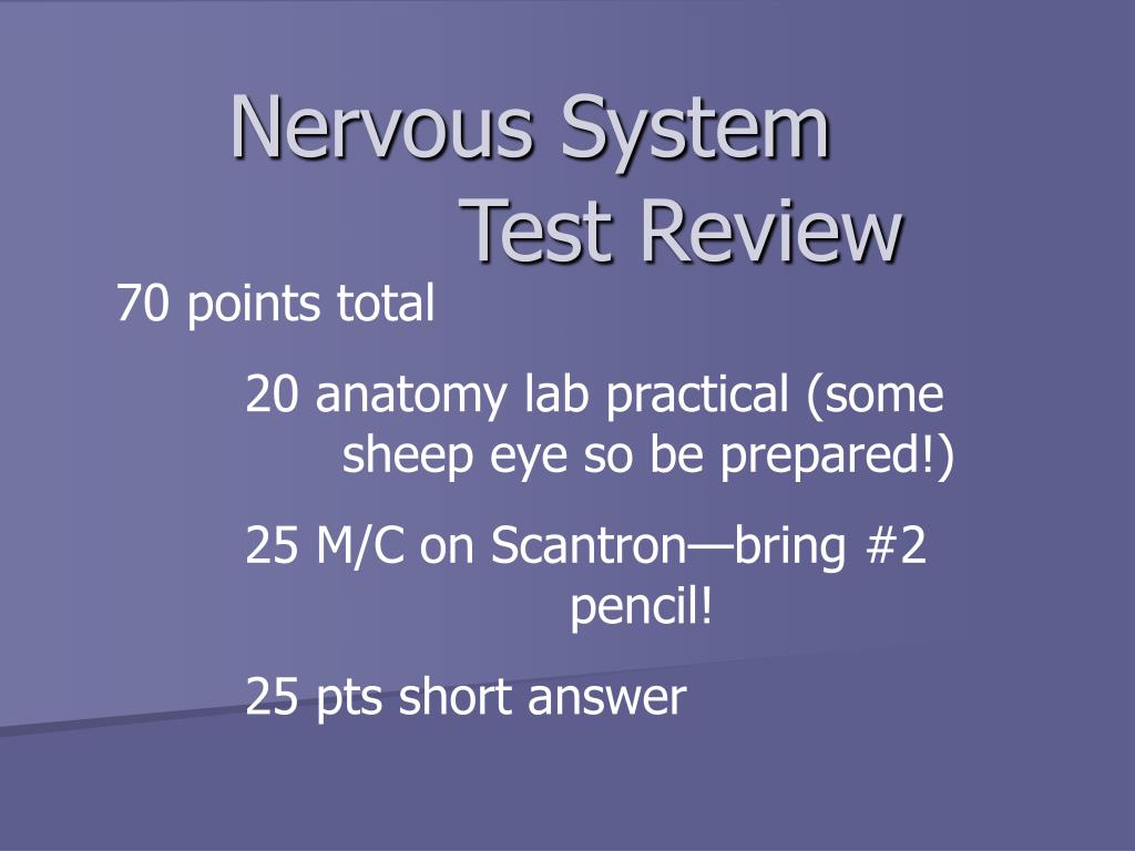 PPT - Nervous System PowerPoint Presentation, free download - ID:516459