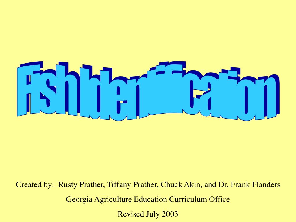 PPT - Fish Identification PowerPoint Presentation, free download - ID ...