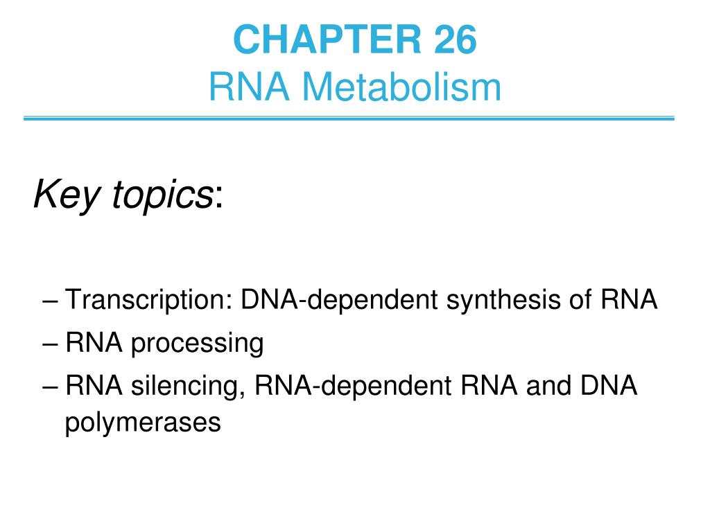 PPT - CHAPTER 26 RNA Metabolism PowerPoint Presentation, free download ...