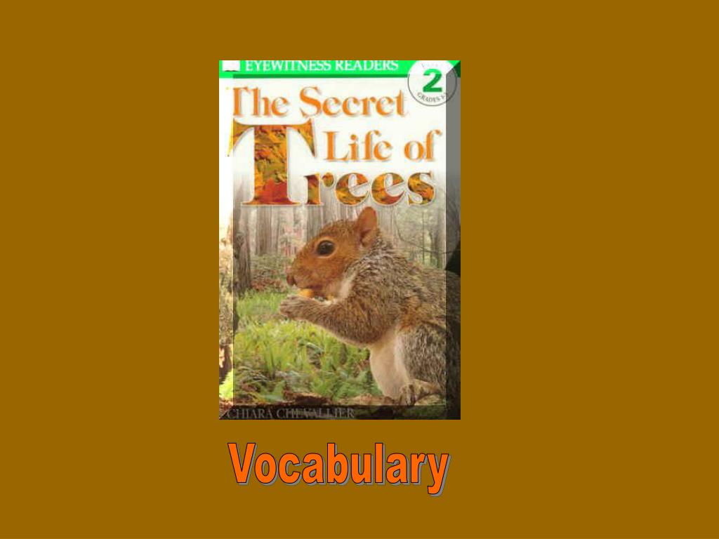 PPT - Vocabulary PowerPoint Presentation, free download - ID:518558