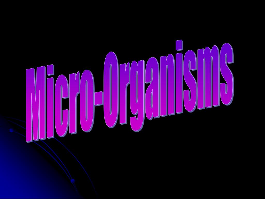PPT - Micro-Organisms PowerPoint Presentation, free download - ID:518723