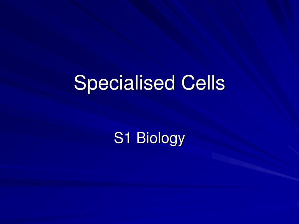 PPT - Specialised Cells PowerPoint Presentation, free download - ID:519147
