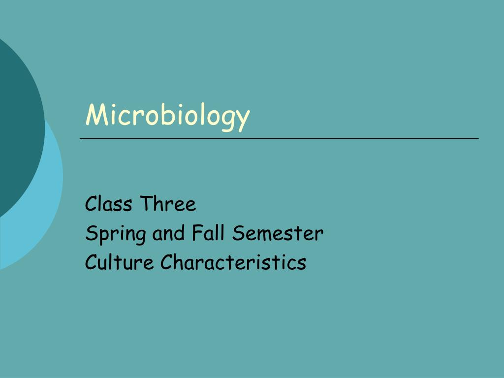 PPT - Microbiology PowerPoint Presentation, free download - ID:519277