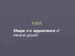 PPT - Habit Learning Lite PowerPoint Presentation, free download - ID ...