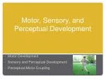 PPT - Sensory, Motor, and Integrative Systems PowerPoint Presentation ...