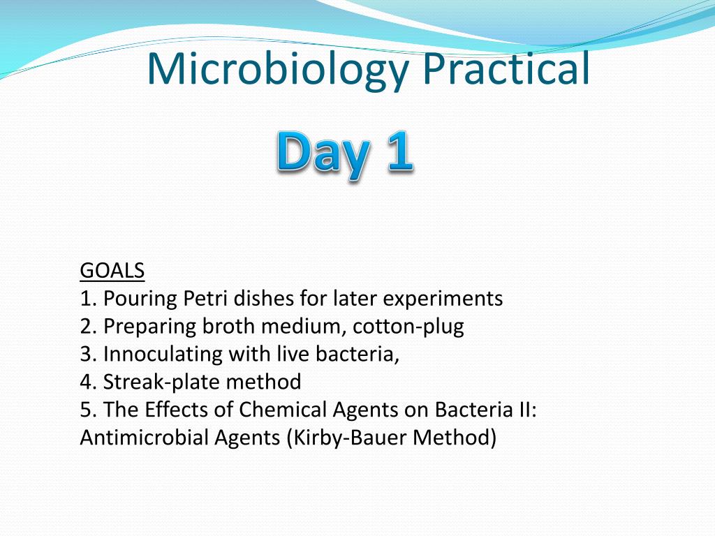 PPT - Microbiology Practical PowerPoint Presentation, free download ...