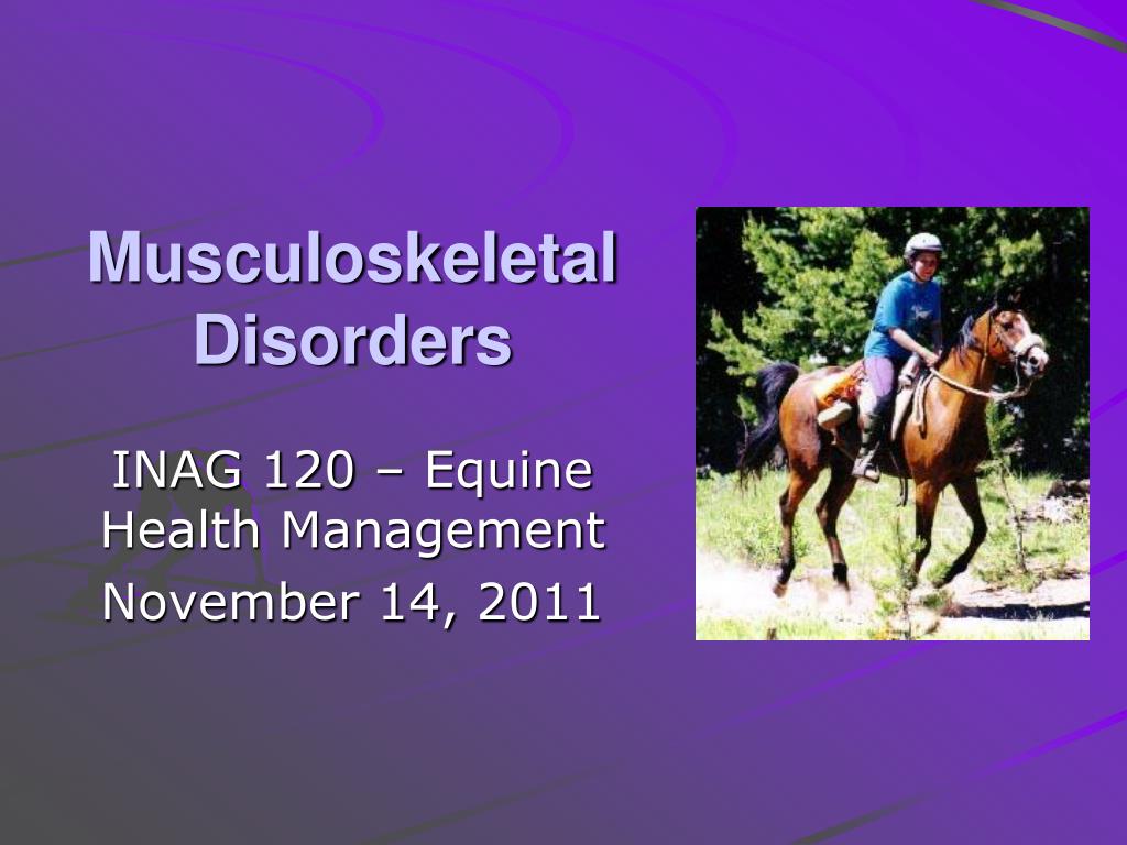 PPT - Musculoskeletal Disorders PowerPoint Presentation, free download ...