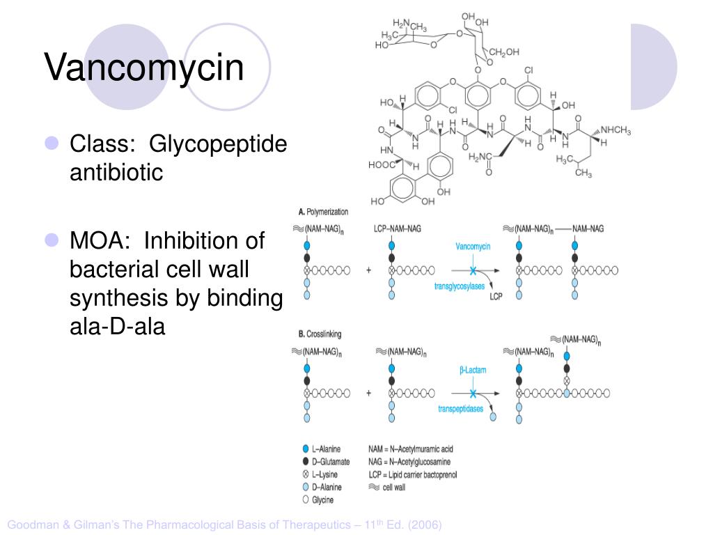 PPT - Vancomycin PowerPoint Presentation, free download - ID:523486