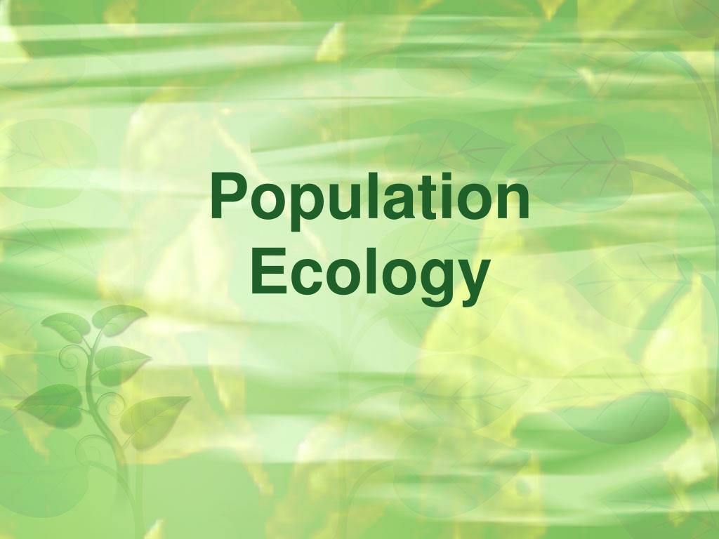 PPT - Population Ecology PowerPoint Presentation, free download - ID:524157