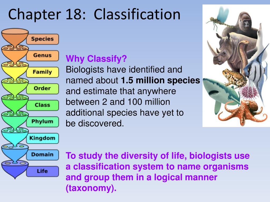 PPT - Chapter 18: Classification PowerPoint Presentation, free download - ID:524244