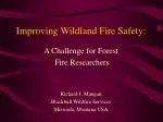 PPT - Introduction to Wildland Fire Behavior PowerPoint Presentation ...